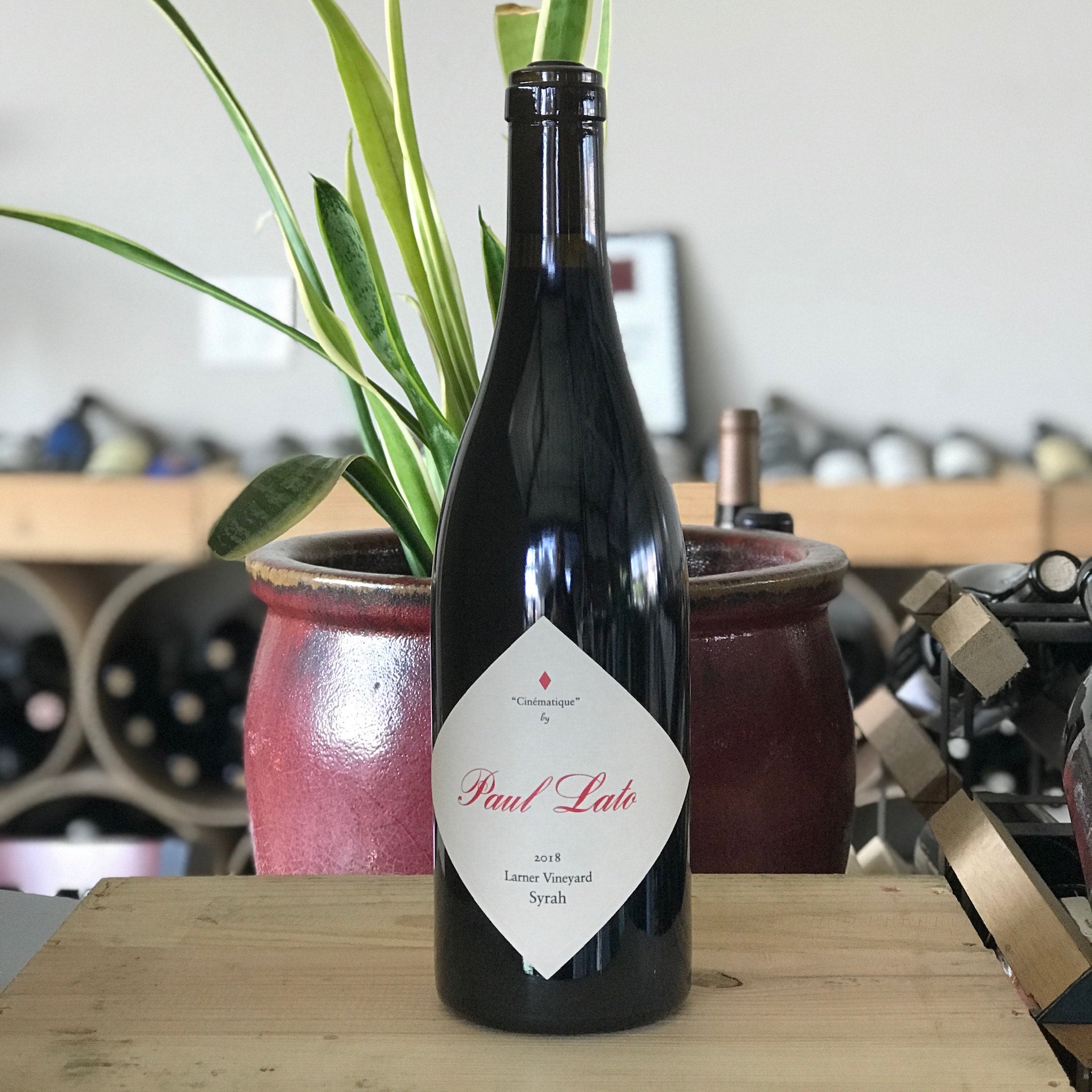 2018 Paul Lato Syrah Cinematique Larner Vineyard Santa Barbara | WineSneak